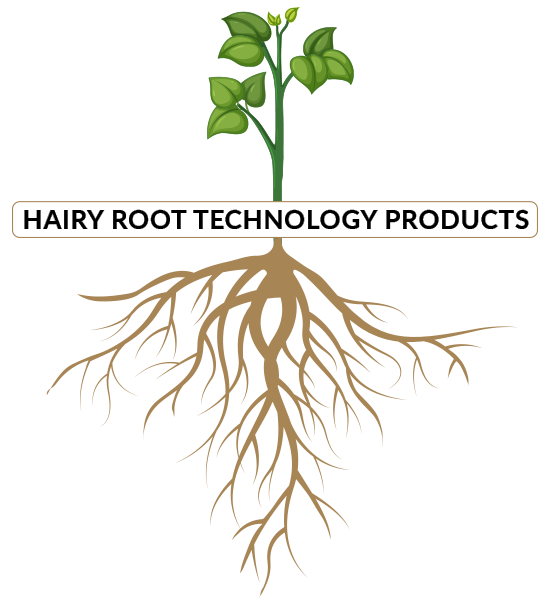 amerstem-technology-products-root – AmerStem