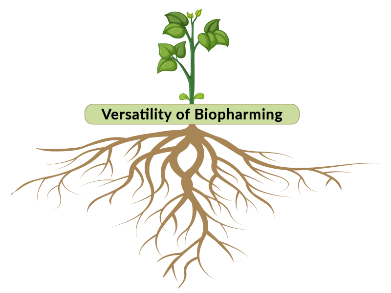 amerstem-Versatility-of-Biopharming – AmerStem